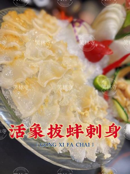 象拔蚌进了我的扇贝海星_能一起养吗-第2张图片-山城妙识 象拔蚌进了我的扇贝海星_能一起养吗-第2张图片-山城妙识