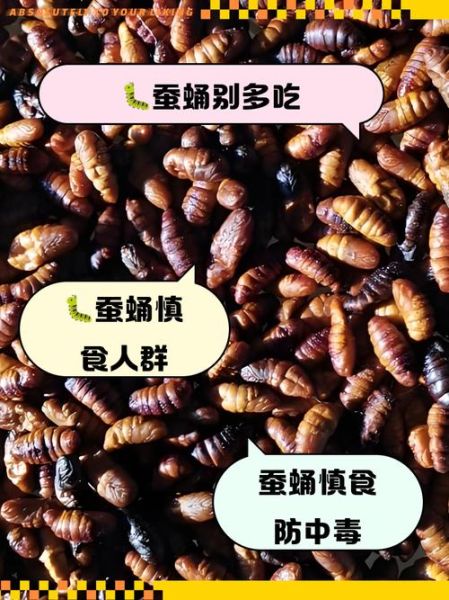 蚕蛹的营养价值_蚕蛹吃多了有什么坏处-第2张图片-山城妙识 蚕蛹的营养价值_蚕蛹吃多了有什么坏处-第2张图片-山城妙识
