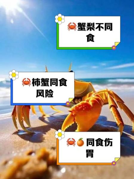 梭子蟹不能和什么一起吃_哪些食物与梭子蟹相克-第3张图片-山城妙识 梭子蟹不能和什么一起吃_哪些食物与梭子蟹相克-第3张图片-山城妙识