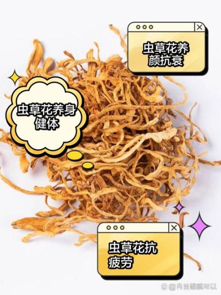 儿童为什么不能吃虫草花_虫草花对儿童的危害-第2张图片-山城妙识 儿童为什么不能吃虫草花_虫草花对儿童的危害-第2张图片-山城妙识