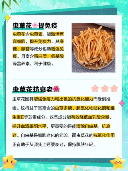 儿童为什么不能吃虫草花_虫草花对儿童的危害-第3张图片-山城妙识 儿童为什么不能吃虫草花_虫草花对儿童的危害-第3张图片-山城妙识