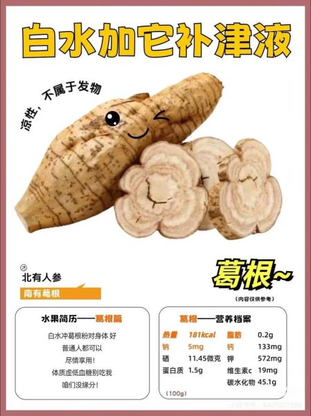 葛根吃了有什么好处_葛根怎么吃效果最好-第1张图片-山城妙识 葛根吃了有什么好处_葛根怎么吃效果最好-第1张图片-山城妙识