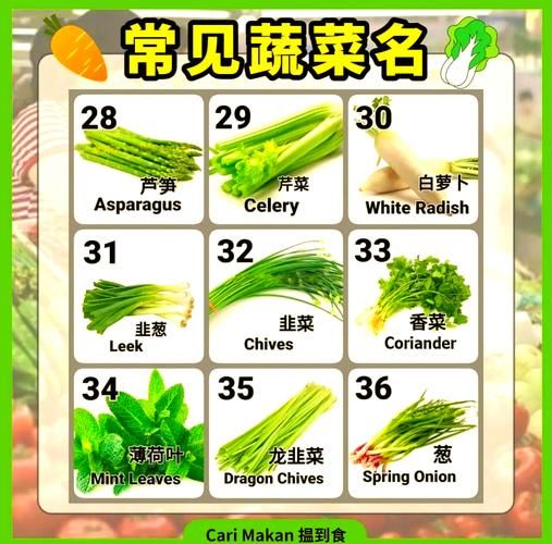 蔬菜名字大全集100种有哪些_如何挑选常见蔬菜-第1张图片-山城妙识
