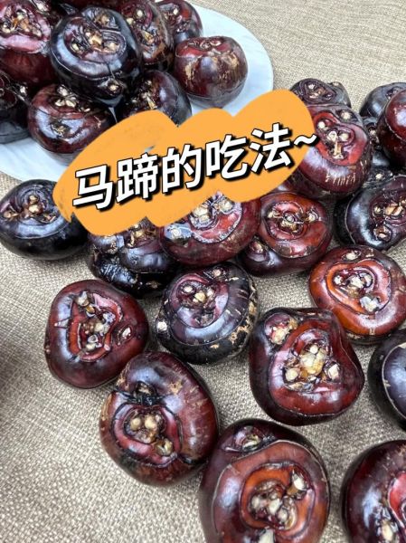 荸荠怎么做好吃_荸荠的家常做法大全-第3张图片-山城妙识 荸荠怎么做好吃_荸荠的家常做法大全-第3张图片-山城妙识