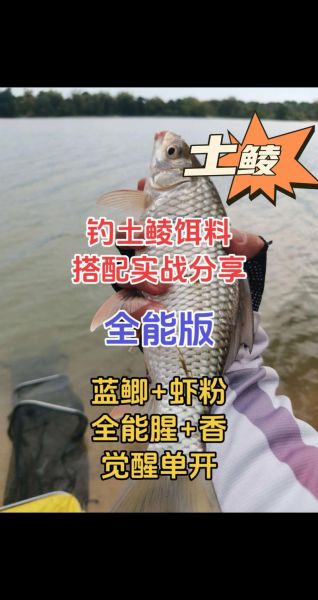 鲮鱼饵料能钓鲫鱼吗_实战效果与配方调整-第1张图片-山城妙识 鲮鱼饵料能钓鲫鱼吗_实战效果与配方调整-第1张图片-山城妙识