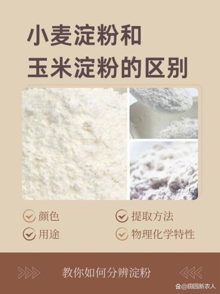 生粉是不是玉米淀粉_生粉与玉米淀粉区别-第2张图片-山城妙识 生粉是不是玉米淀粉_生粉与玉米淀粉区别-第2张图片-山城妙识