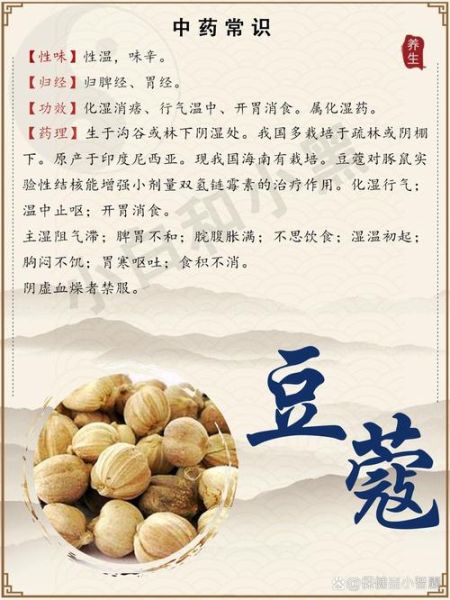 豆蔻长什么样_豆蔻有哪些功效与作用-第2张图片-山城妙识 豆蔻长什么样_豆蔻有哪些功效与作用-第2张图片-山城妙识