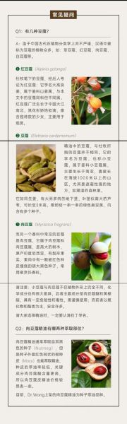 豆蔻长什么样_豆蔻有哪些功效与作用-第1张图片-山城妙识 豆蔻长什么样_豆蔻有哪些功效与作用-第1张图片-山城妙识