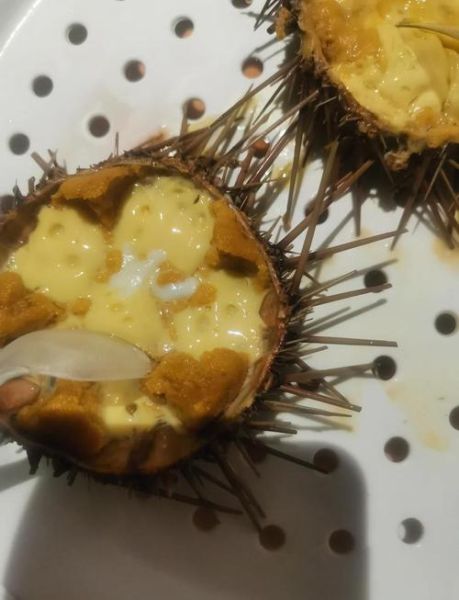 海胆蒸蛋要蒸几分钟_海胆蒸蛋怎么蒸才嫩滑-第1张图片-山城妙识