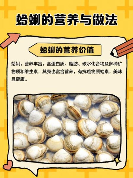 蛤蜊怎么做好吃_蛤蜊的营养价值有哪些-第2张图片-山城妙识 蛤蜊怎么做好吃_蛤蜊的营养价值有哪些-第2张图片-山城妙识