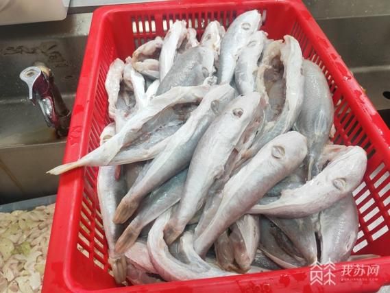 河豚怎么杀_河豚怎么吃才安全-第1张图片-山城妙识