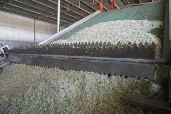 蔬菜干是怎么加工的_蔬菜干加工流程-第2张图片-山城妙识