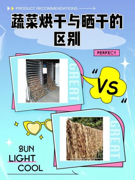蔬菜干是怎么加工的_蔬菜干加工流程-第1张图片-山城妙识
