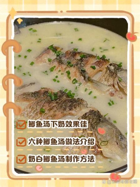 产妇鲫鱼汤怎么炖好喝又下奶_鲫鱼汤去腥增鲜技巧-第1张图片-山城妙识
