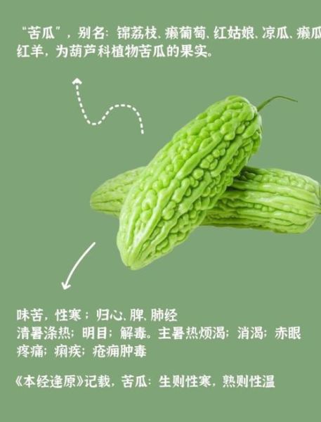 苦瓜的功效与作用_苦瓜的副作用有哪些-第3张图片-山城妙识
