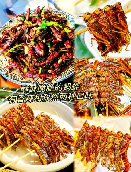 油炸蚂蚱怎么做才酥脆_油炸蚂蚱能吃吗-第3张图片-山城妙识 油炸蚂蚱怎么做才酥脆_油炸蚂蚱能吃吗-第3张图片-山城妙识