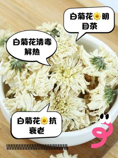 菊花泡水喝的功效与禁忌_菊花主治哪些病-第1张图片-山城妙识 菊花泡水喝的功效与禁忌_菊花主治哪些病-第1张图片-山城妙识