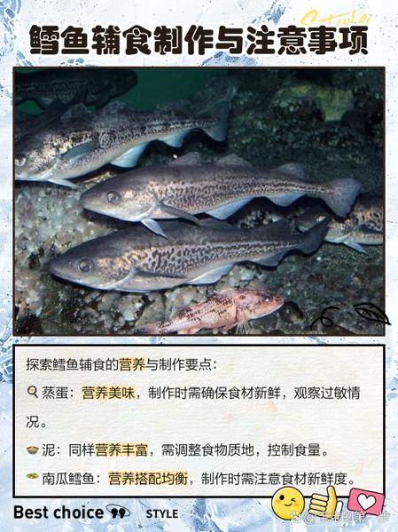 宝宝能吃冷冻鳕鱼吗_冷冻鳕鱼对宝宝有哪些危害-第1张图片-山城妙识