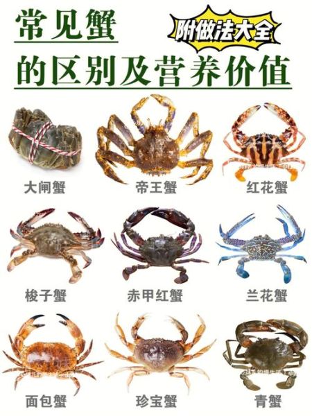 河蟹在家怎么养不死_河蟹养殖新手常见问题-第1张图片-山城妙识