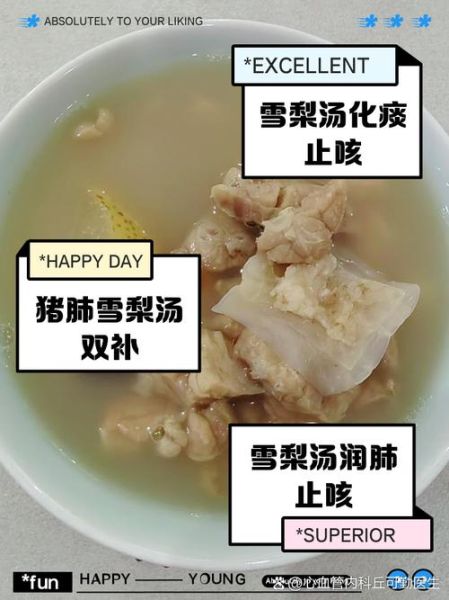 猪肺雪梨汤的做法_猪肺雪梨汤的功效-第1张图片-山城妙识