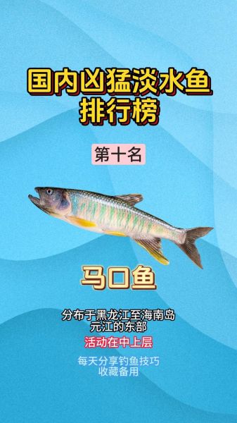 十大凶猛淡水鱼有哪些_如何区分攻击性-第1张图片-山城妙识