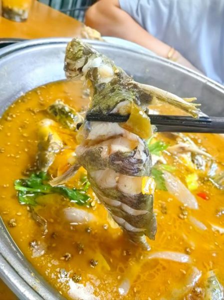 酸菜黄辣丁鱼怎么做_黄辣丁鱼要不要先煎-第1张图片-山城妙识