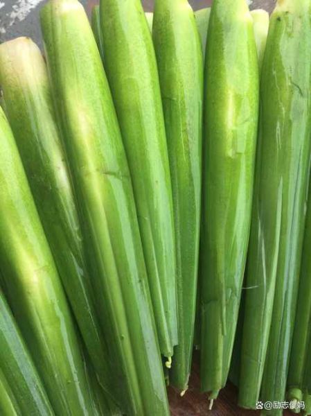 茭白是植物的根吗_茭白长什么样图片-第2张图片-山城妙识 茭白是植物的根吗_茭白长什么样图片-第2张图片-山城妙识