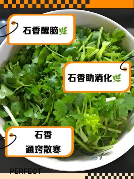 石香菜吃多了有害吗_石香菜吃多了有什么副作用-第2张图片-山城妙识