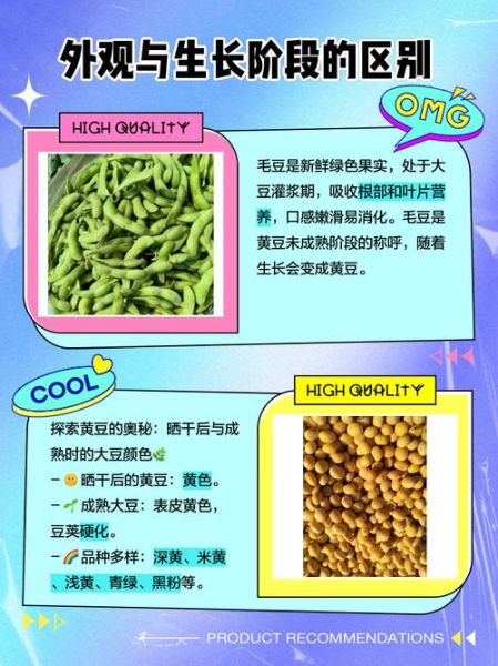 黄豆是毛豆变来的吗_毛豆和黄豆的区别-第2张图片-山城妙识 黄豆是毛豆变来的吗_毛豆和黄豆的区别-第2张图片-山城妙识