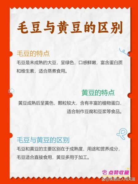 黄豆是毛豆变来的吗_毛豆和黄豆的区别-第3张图片-山城妙识 黄豆是毛豆变来的吗_毛豆和黄豆的区别-第3张图片-山城妙识
