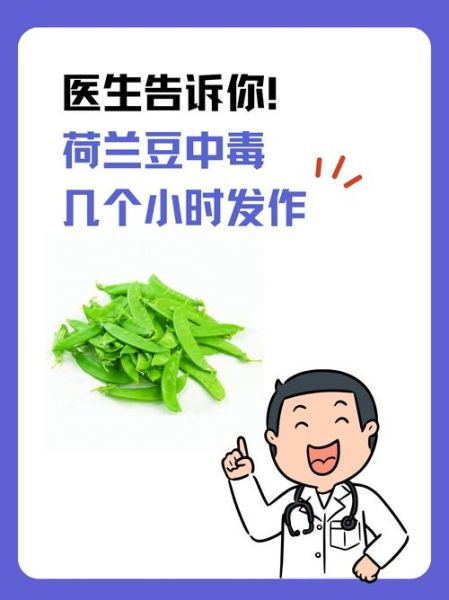 荷兰豆不熟会中毒吗_吃了没熟的荷兰豆怎么办-第1张图片-山城妙识 荷兰豆不熟会中毒吗_吃了没熟的荷兰豆怎么办-第1张图片-山城妙识