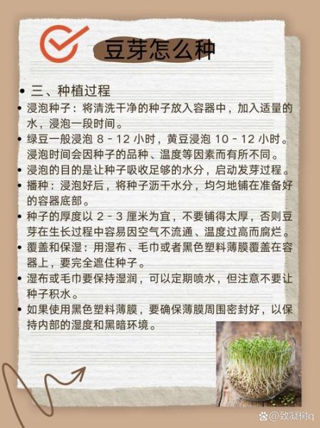 黄豆芽怎么种_黄豆芽生长步骤图解-第2张图片-山城妙识 黄豆芽怎么种_黄豆芽生长步骤图解-第2张图片-山城妙识