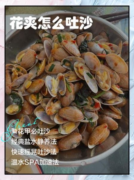 花甲怎么洗才没有泥沙_花甲去沙最快的方法-第2张图片-山城妙识 花甲怎么洗才没有泥沙_花甲去沙最快的方法-第2张图片-山城妙识