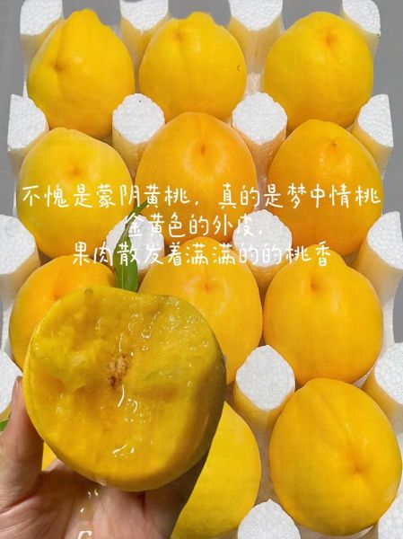 黄油桃热量是多少_减肥能吃黄油桃吗-第3张图片-山城妙识