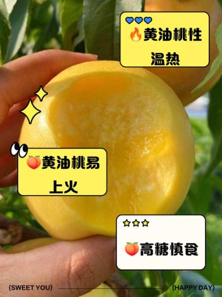 黄油桃热量是多少_减肥能吃黄油桃吗-第1张图片-山城妙识