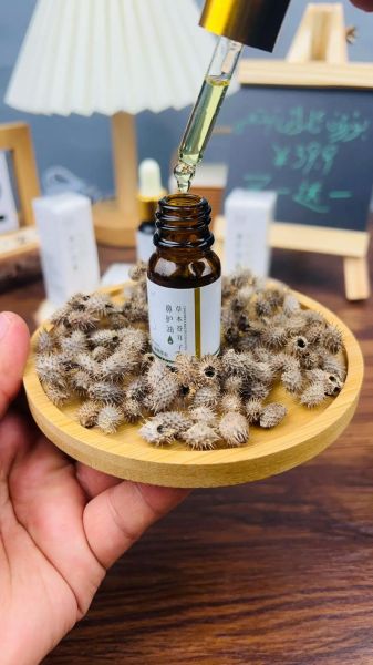 苍耳子油用几次会加重_苍耳子油副作用-第1张图片-山城妙识