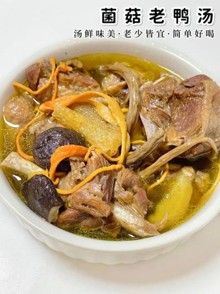鸭汤怎么做_老鸭汤怎么炖才白-第2张图片-山城妙识 鸭汤怎么做_老鸭汤怎么炖才白-第2张图片-山城妙识
