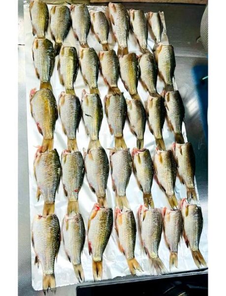 糟鱼怎么做好吃_糟鱼的家常做法-第1张图片-山城妙识