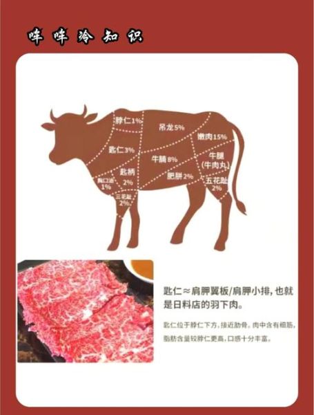 牛欢喜是牛的哪个部位_牛欢喜部位图解-第1张图片-山城妙识