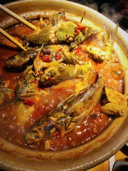 烧黄辣丁鱼怎么做_黄辣丁鱼要焯水吗-第3张图片-山城妙识 烧黄辣丁鱼怎么做_黄辣丁鱼要焯水吗-第3张图片-山城妙识