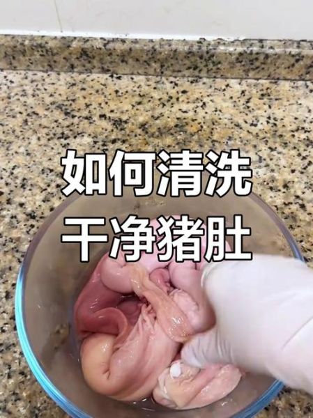 猪肚怎么洗最干净_猪肚清洗去腥技巧-第1张图片-山城妙识 猪肚怎么洗最干净_猪肚清洗去腥技巧-第1张图片-山城妙识