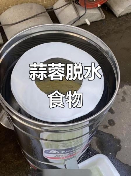 脱水蔬菜怎么做_脱水蔬菜能保存多久-第1张图片-山城妙识 脱水蔬菜怎么做_脱水蔬菜能保存多久-第1张图片-山城妙识