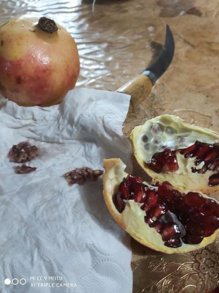 石榴的正确吃法吐籽吗_石榴籽能吃吗-第1张图片-山城妙识 石榴的正确吃法吐籽吗_石榴籽能吃吗-第1张图片-山城妙识