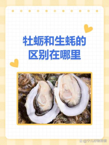 牡蛎和生蚝的区别_功效差异大吗-第1张图片-山城妙识