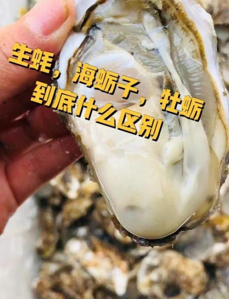 牡蛎和生蚝的区别_功效差异大吗-第3张图片-山城妙识