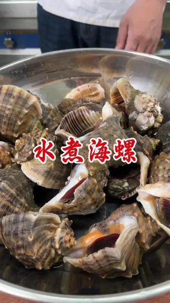 海螺煮多久能熟_海螺煮多长时间口感最佳-第3张图片-山城妙识