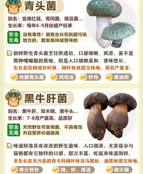 食用菌图片大全_如何辨别可食用蘑菇-第3张图片-山城妙识 食用菌图片大全_如何辨别可食用蘑菇-第3张图片-山城妙识
