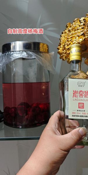 酿杨梅酒用什么酒好_杨梅酒泡多久可以喝-第2张图片-山城妙识