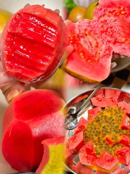 红心番石榴的功效与作用_红心番石榴怎么吃最好-第3张图片-山城妙识 红心番石榴的功效与作用_红心番石榴怎么吃最好-第3张图片-山城妙识