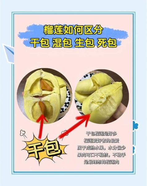 榴莲壳怎么保存_榴莲壳保存多久-第1张图片-山城妙识